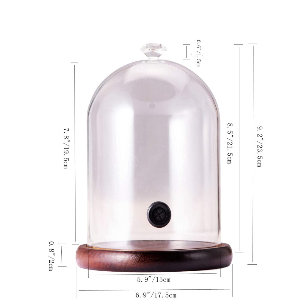 Smoking Cloche For Food Drinks Review - Cooking Down Home